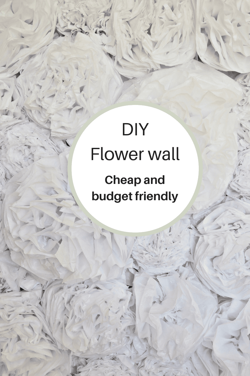 How to make a flower wall, cheap and budget friendly - Dainty Dress Diaries