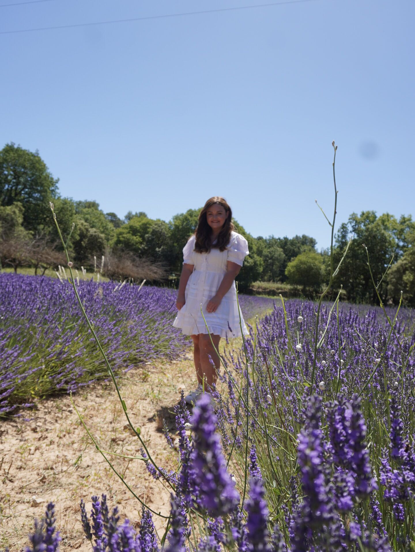 Dainty Dress Diaries